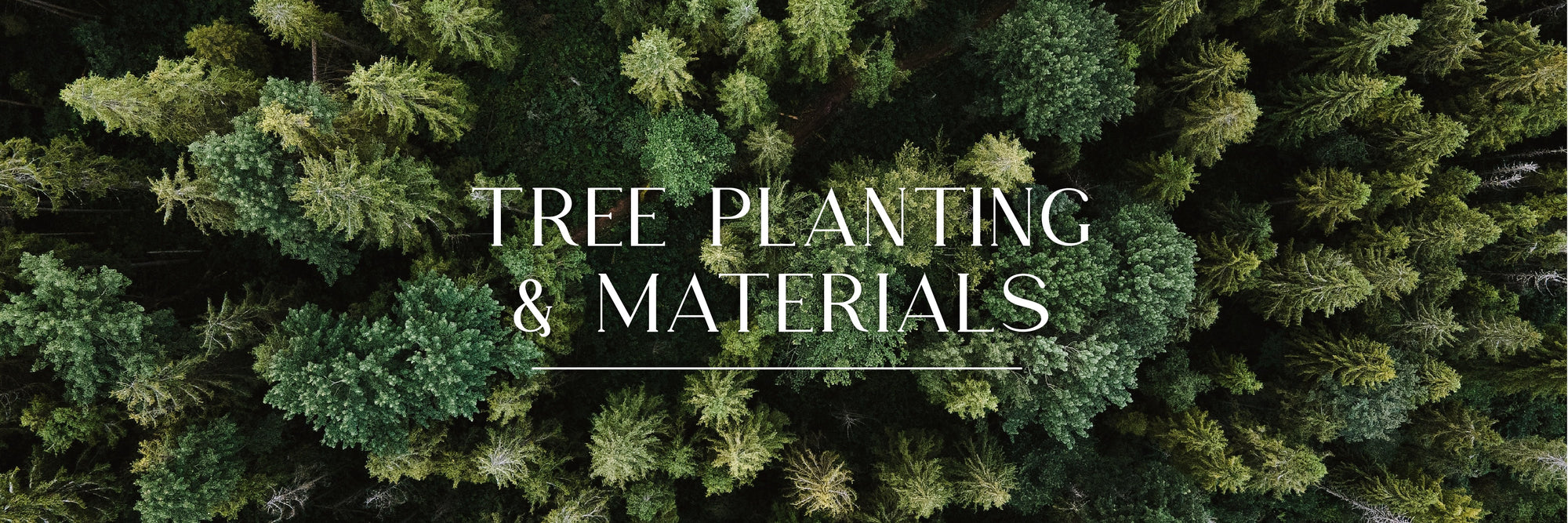 Tree Planting & Materials – Bird & Co Studio