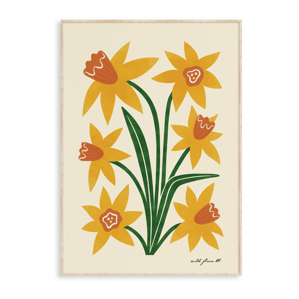 Daffodil Wildflower Art Print – Bird & Co Studio