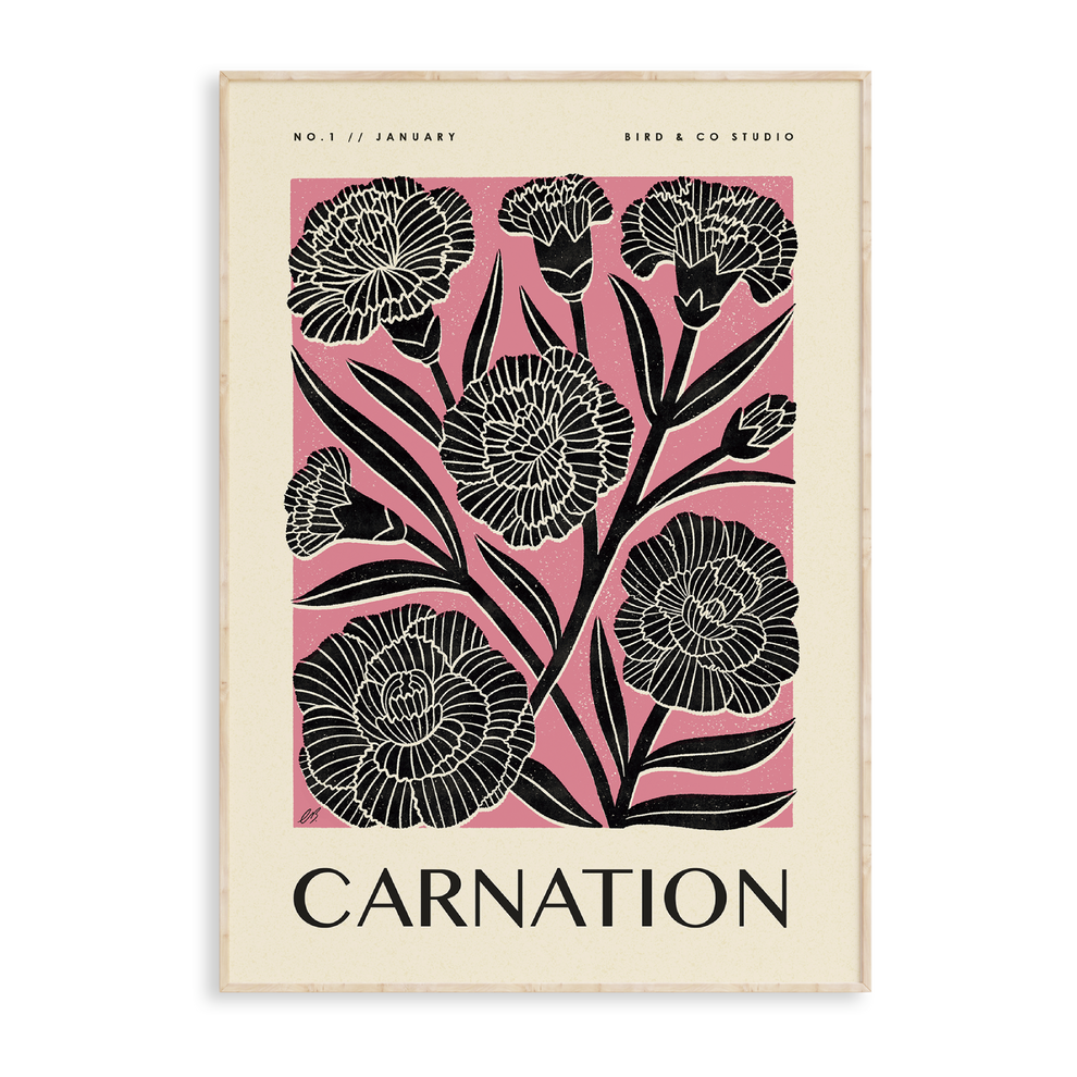 January Carnation Art Print – Bird & Co Studio